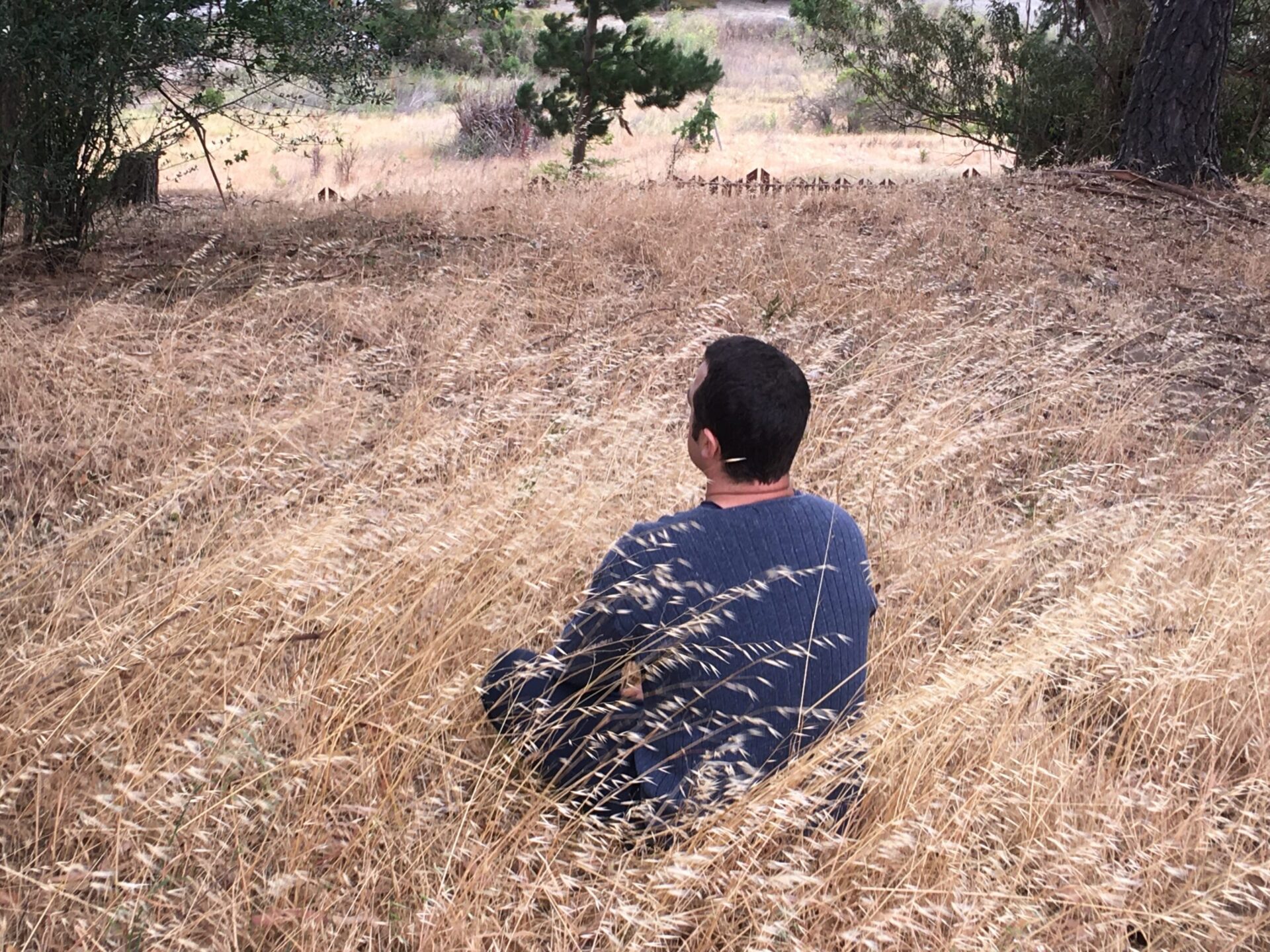 Journey of Self Awareness; Silent Day Retreat ~ Join Us Online – Anubhuti