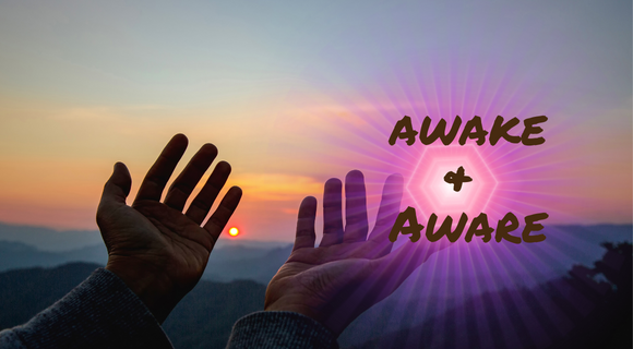 Awake and Aware ~ Join Us Online – Anubhuti