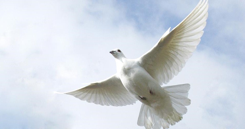 Meditation on Time of Remembrance and Reconciliation ~ Join Us In ...